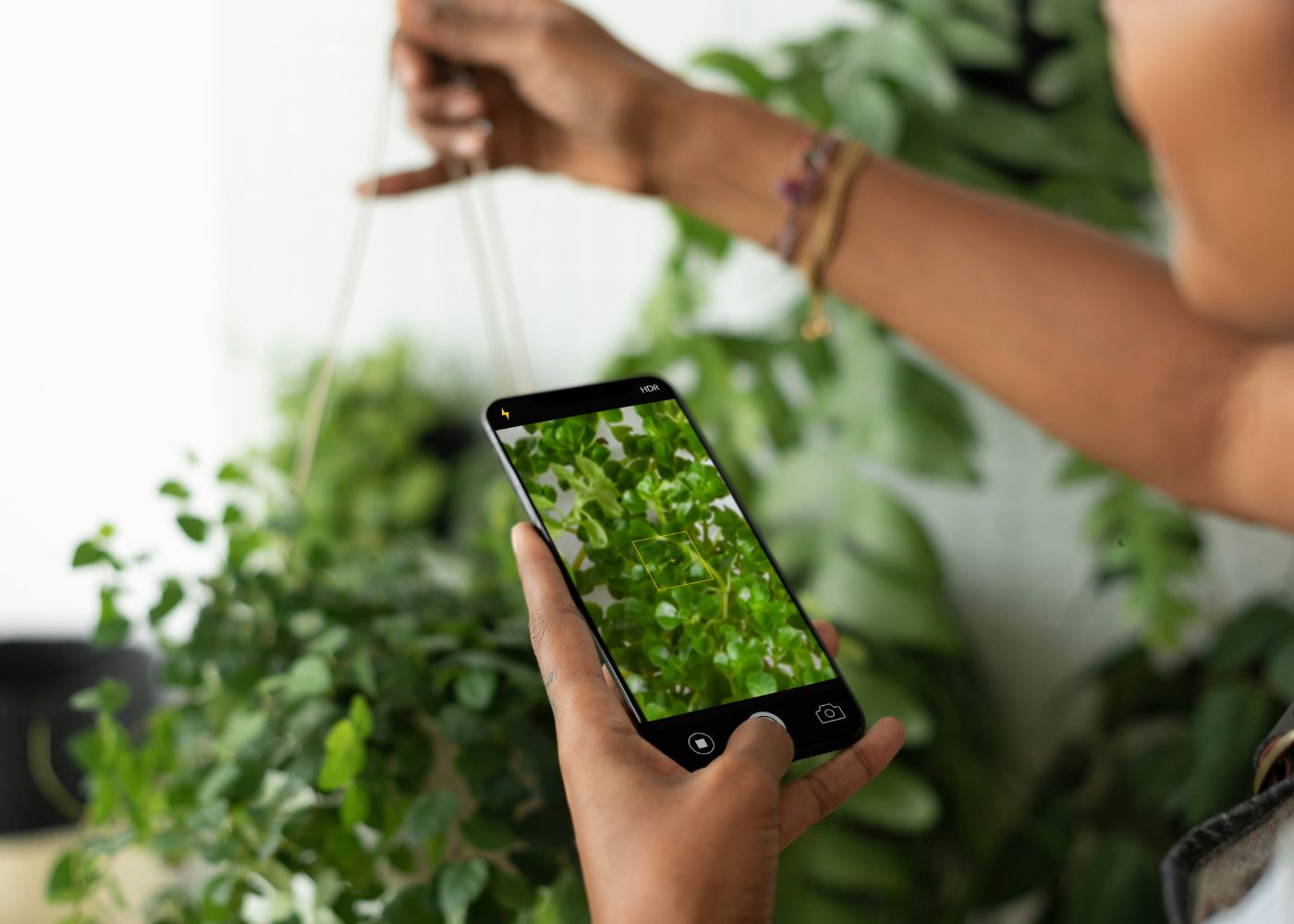 FG Launches NEEP for Farmers and Agricultural Researchers - AgroCentric ...