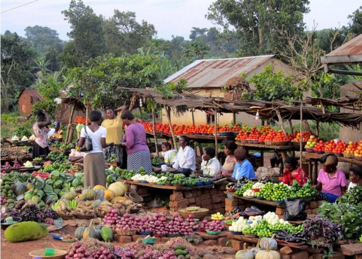 The Importance of Off-Taker Agreements in Ensuring Food Security ...