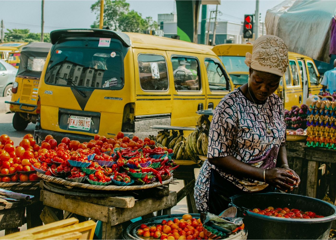 Addressing Food Insecurity in Nigeria Through Policy Reform ...