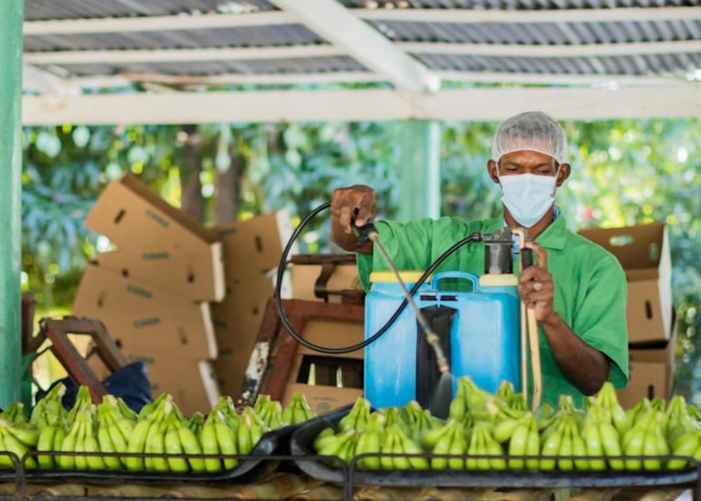 The Future of Agricultural Extension Services in Nigeria - AgroCentric ...