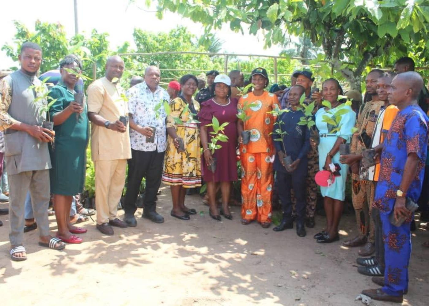 A’Ibom Launches 2025 Cocoa Plan, Provides 150,000 Seedlings to Farmers ...
