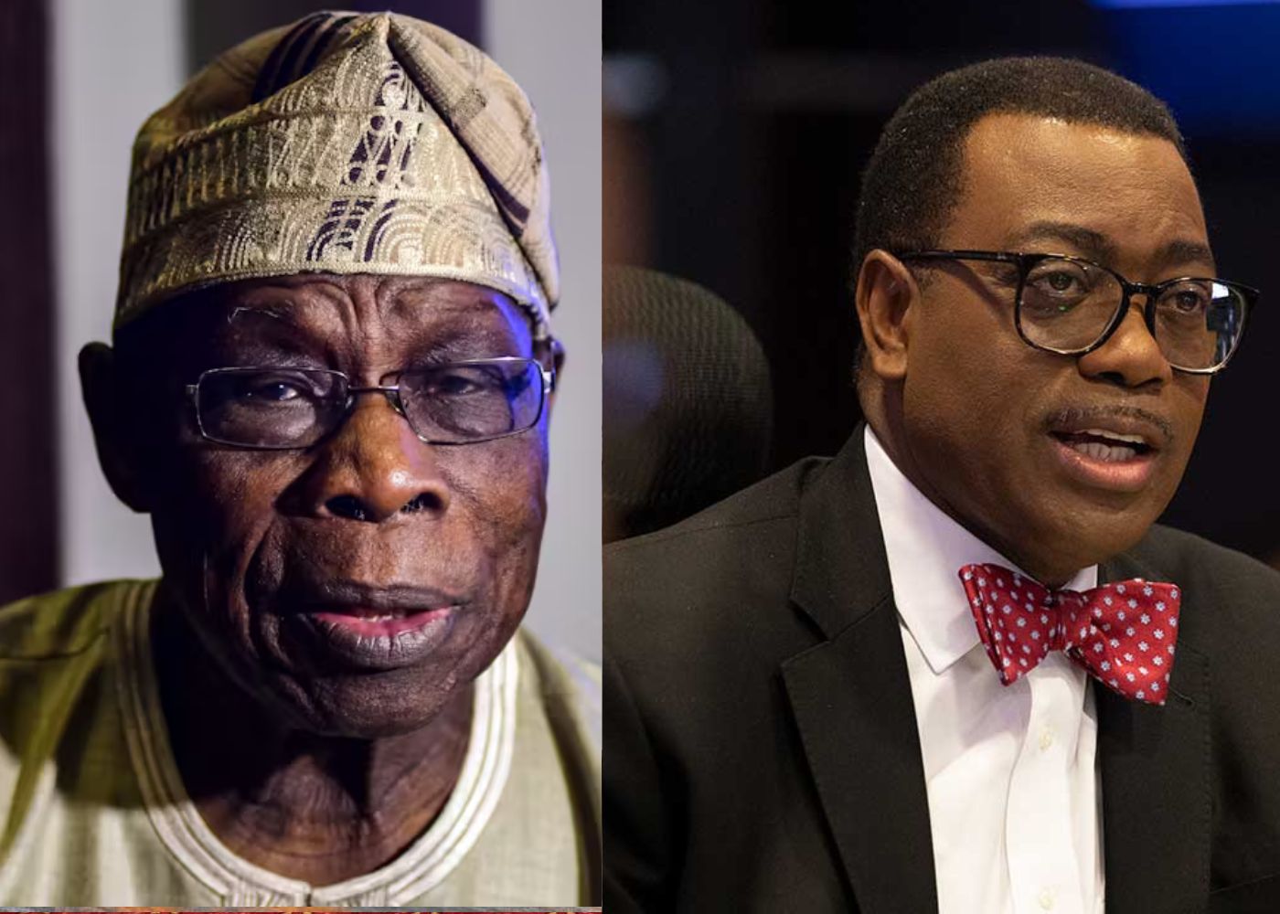 Obasanjo, Adesina Inspire Next Generation of African Agripreneurs ...