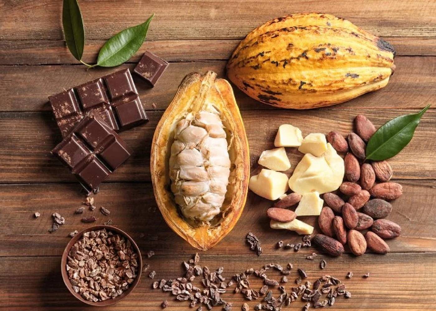 New Report reveals Hidden Crisis Facing Cocoa Farmers - AgroCentric ...
