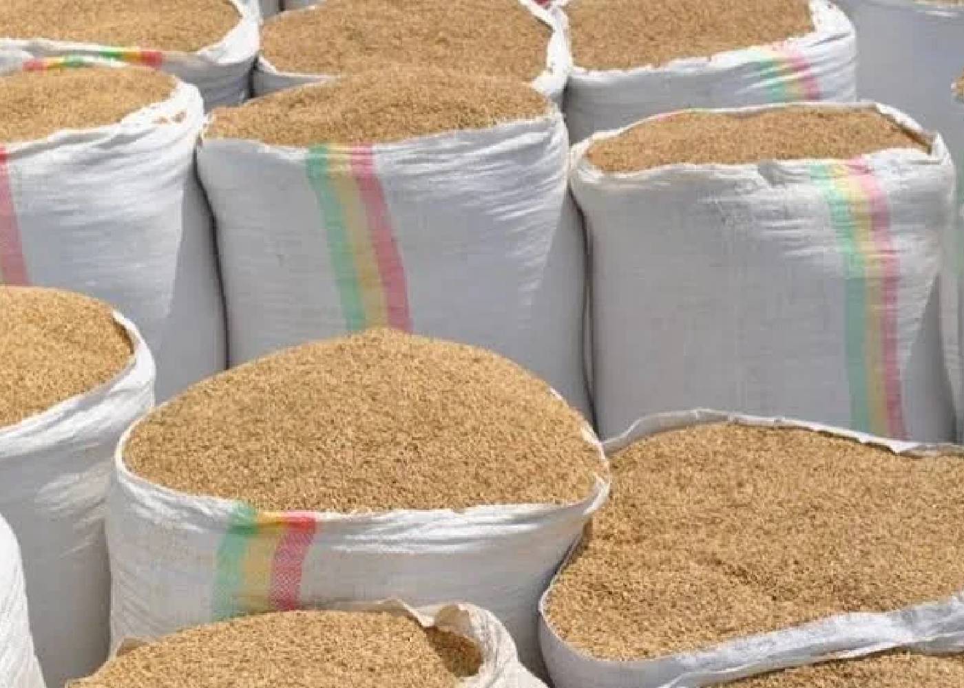 Rice Price Hike Linked to Sabotage, says RIFAN - AgroCentric | AgroCentric