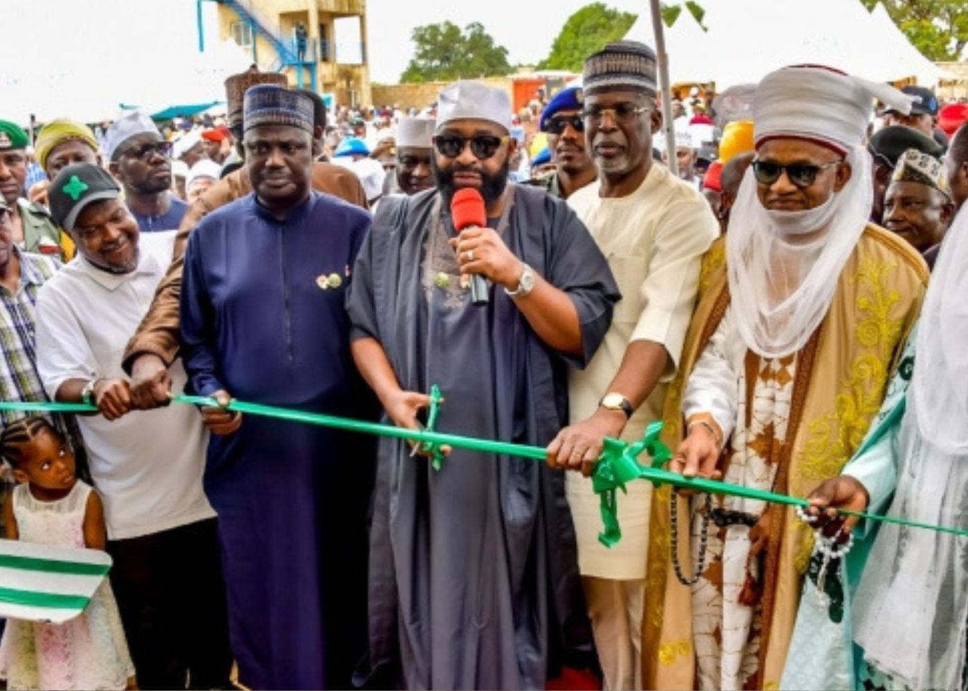 Niger State to Plant 10 Million Shea Trees to Boost More Production ...