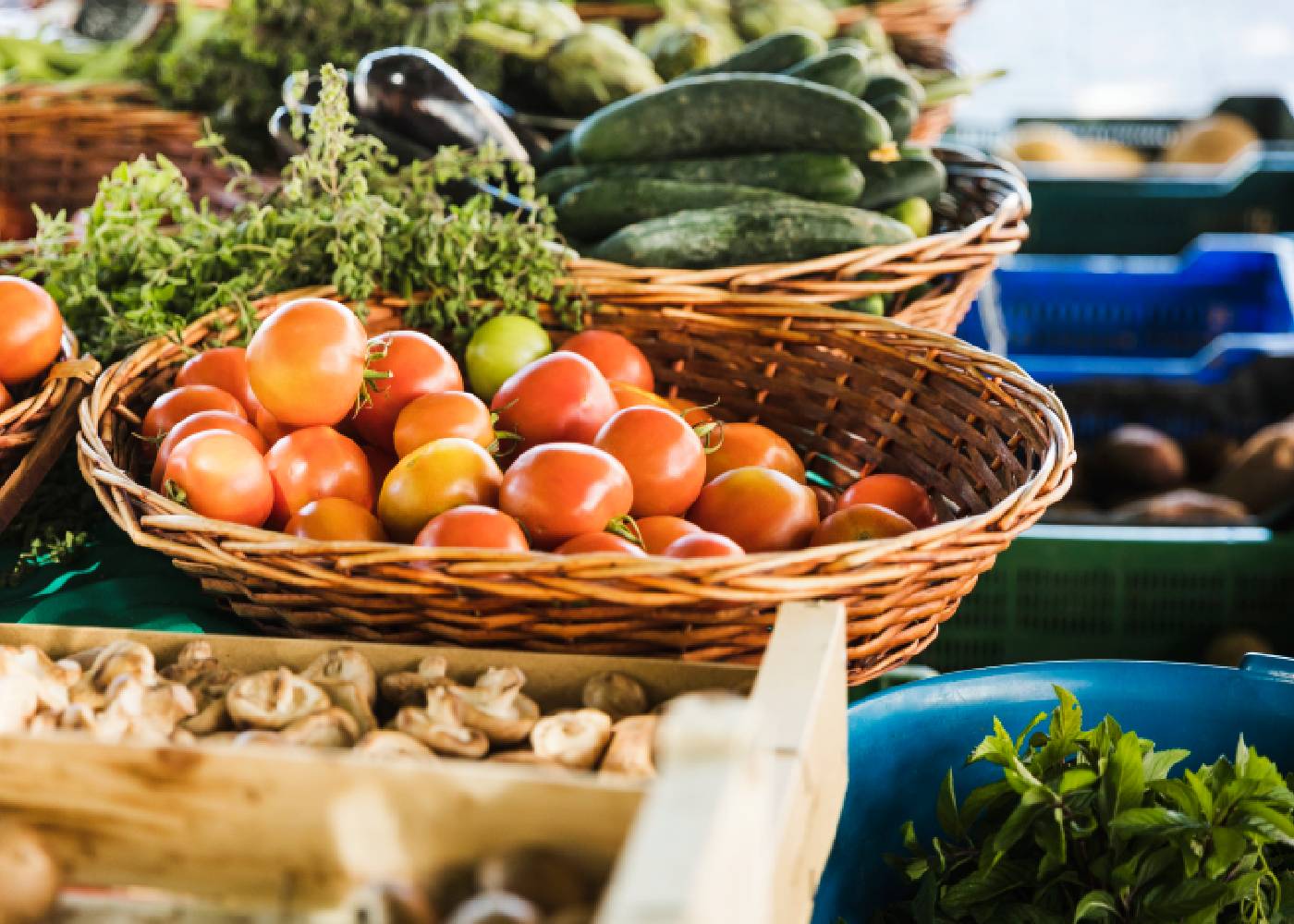 Nigeria’s New NSPRI Food Safety Policy: What It Means for Farmers ...