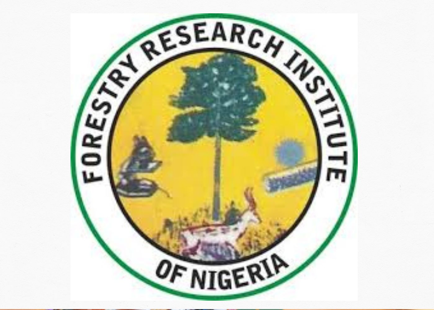 FRIN, NOAN to Teach Young Nigerians in Green Agriculture Under ECOWAS ...