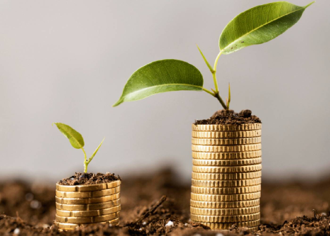 2025 Agriculture Grants: Funding Opportunities for African Farmers ...