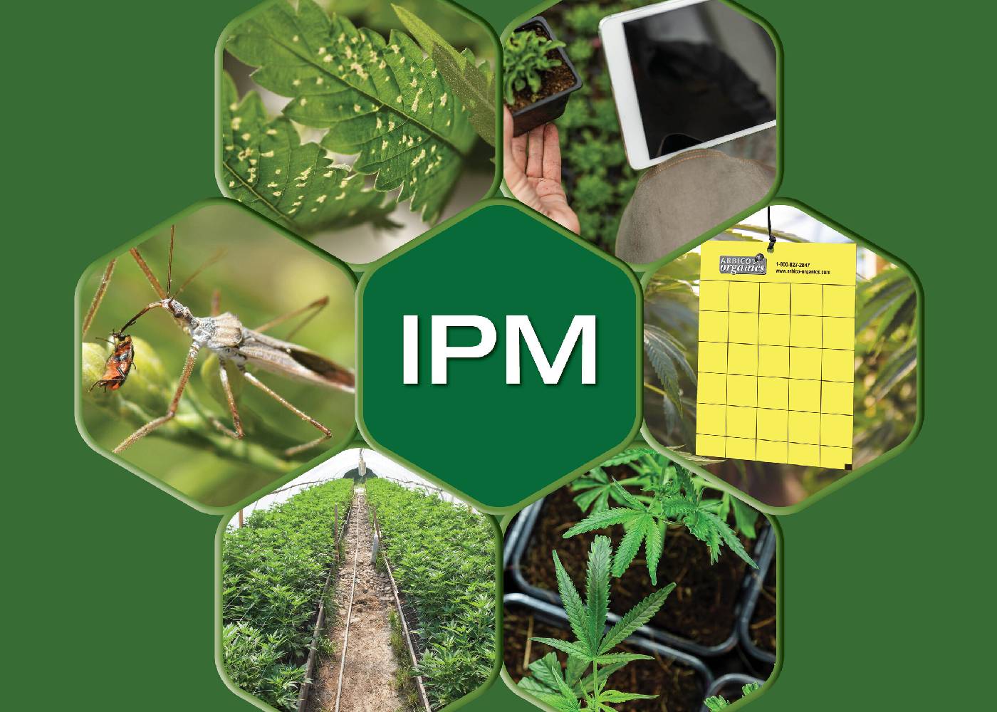 How to Apply Integrated Pest Management to Protect Your Crops ...