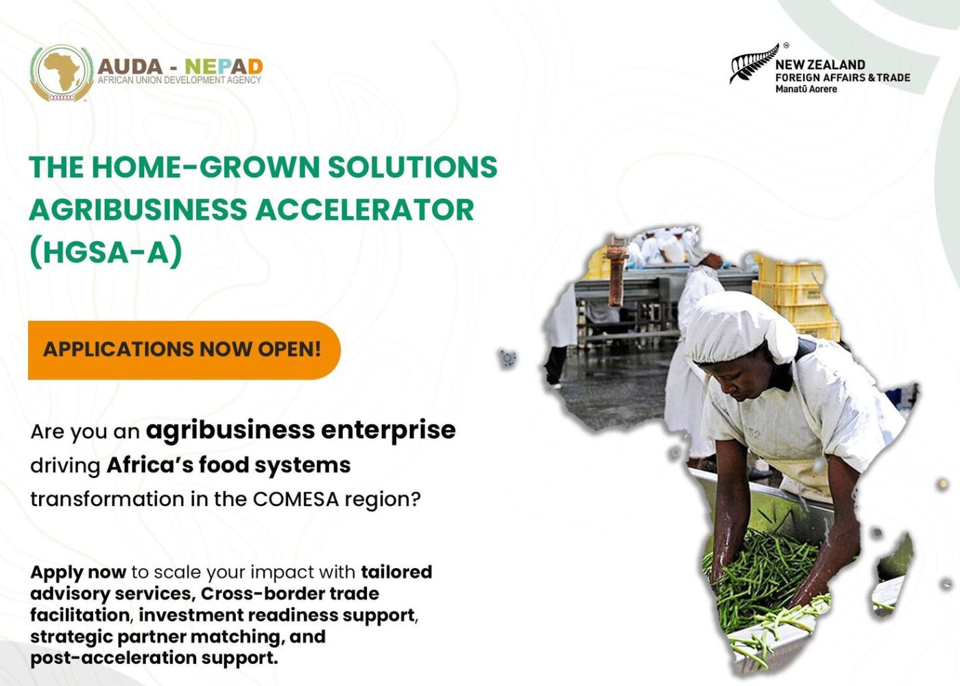 Home-Grown Solutions Agribusiness Accelerator (HGSA-A) - AgroCentric ...