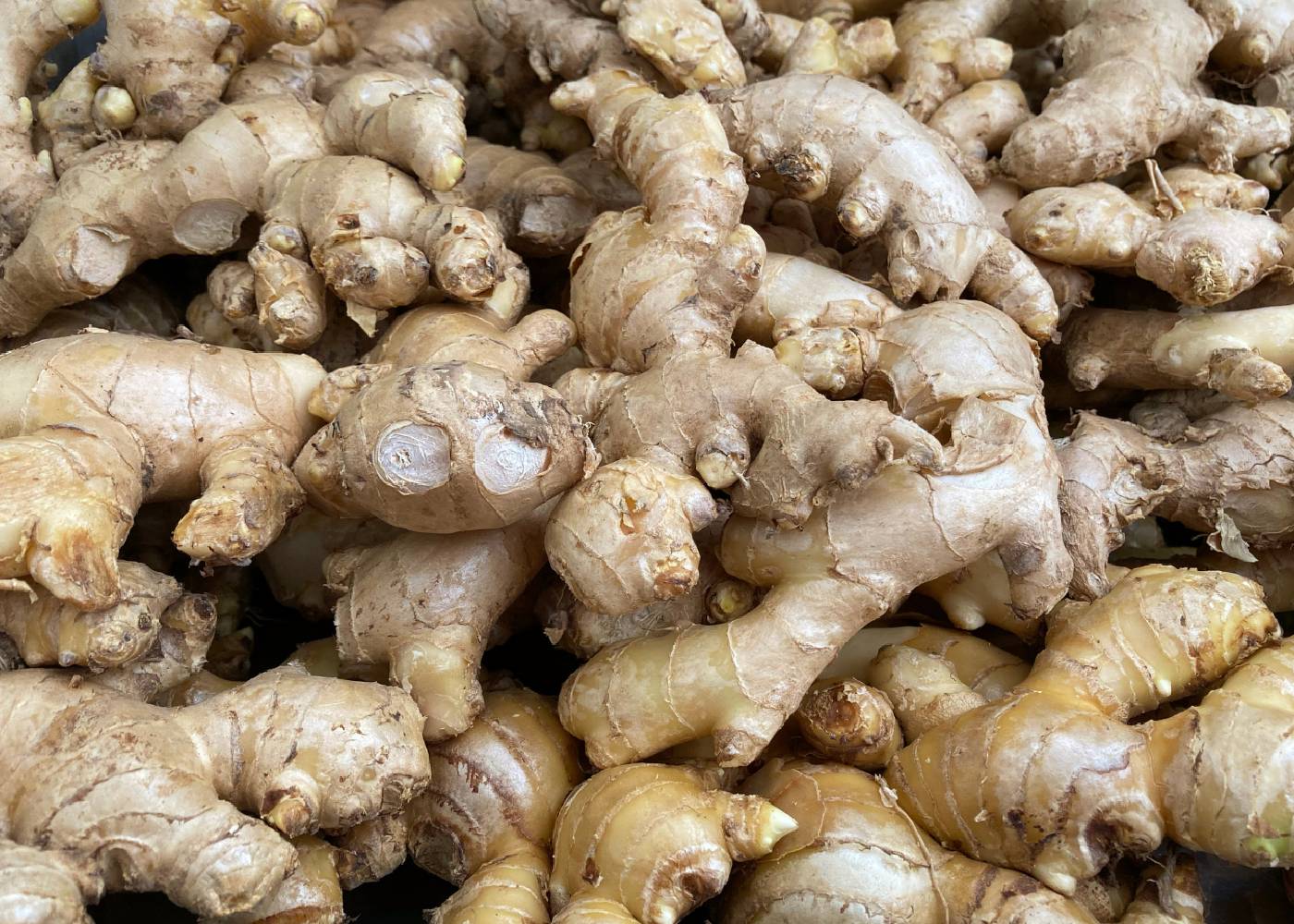 How Nigeria’s Ginger Declined and Can Recover - AgroCentric | AgroCentric