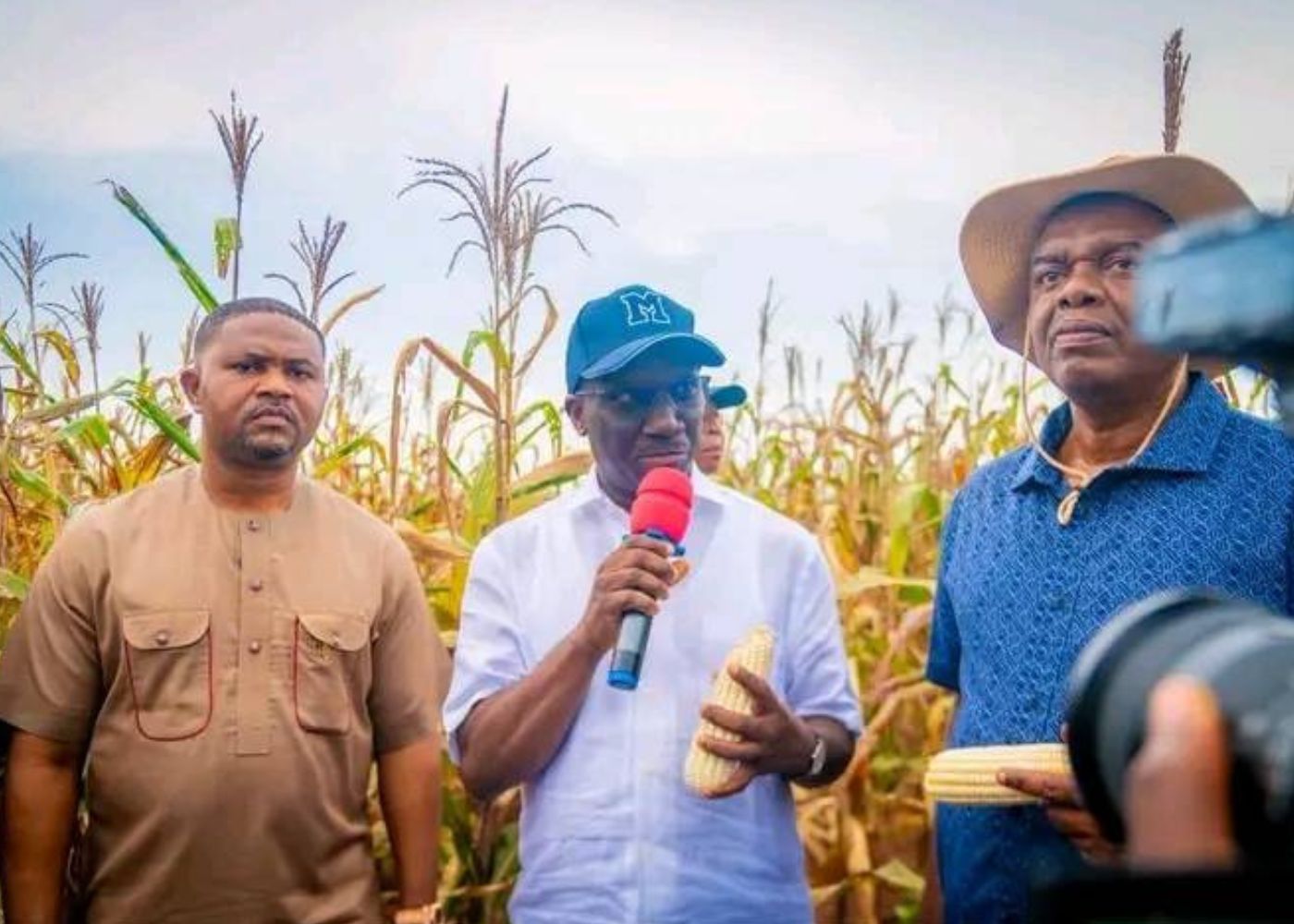 Edo Records First Maize Harvest as State Farm Project Takes Off ...