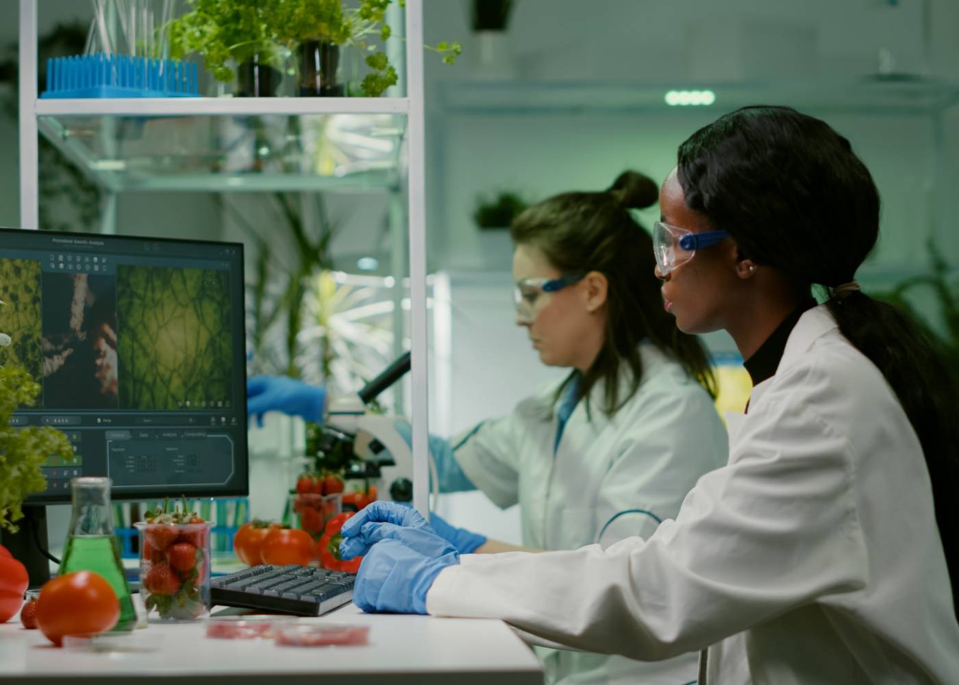 Why Biotechnology is The Future of African Agriculture in 2026 ...